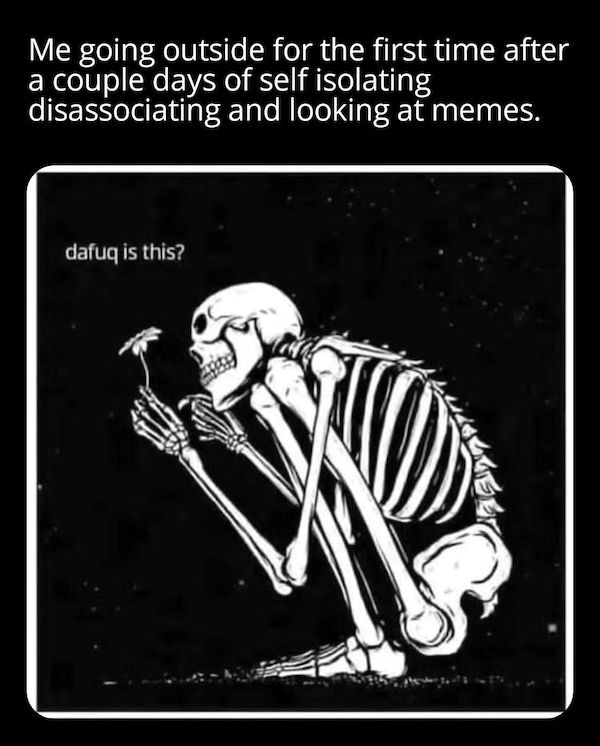 Introverted memes to look at while you refuse to go anywhere