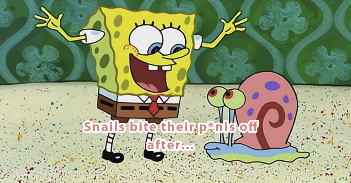 What is a Random Thing You HAVE to Tell Everyone?