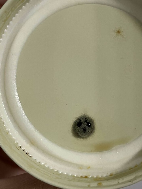 Monstrously Moldy Masterpieces