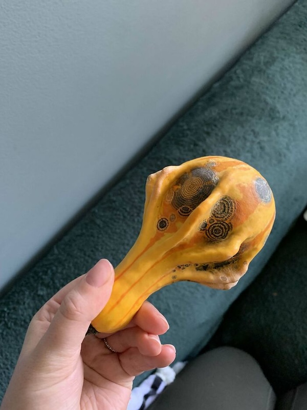 Monstrously Moldy Masterpieces