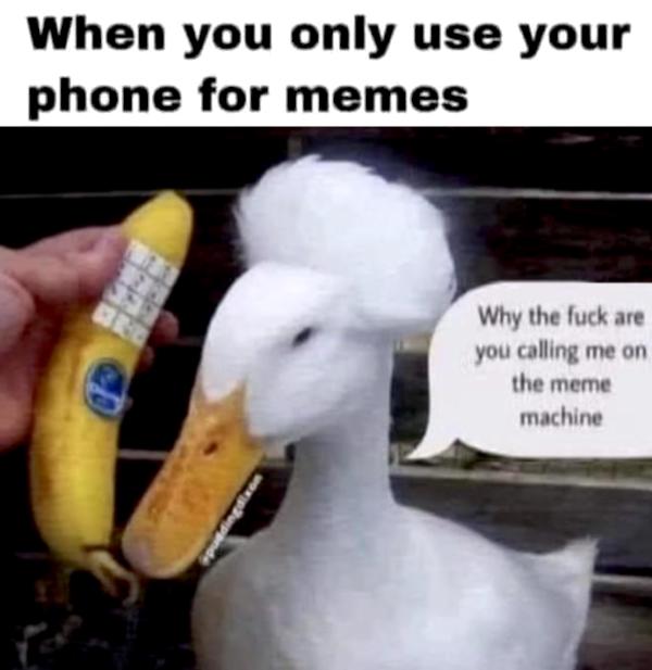 NAILed IT Memes Stupid yet Funny Photo Captions are Too TRUE Best LIST