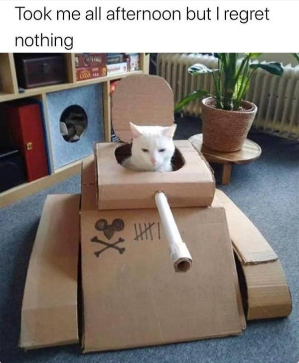 NAILed IT Memes Stupid yet Funny Photo Captions are Too TRUE Best LIST