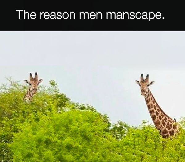 NAILed IT Memes of All the Mindless Dumb Logic Best Caption Pictures