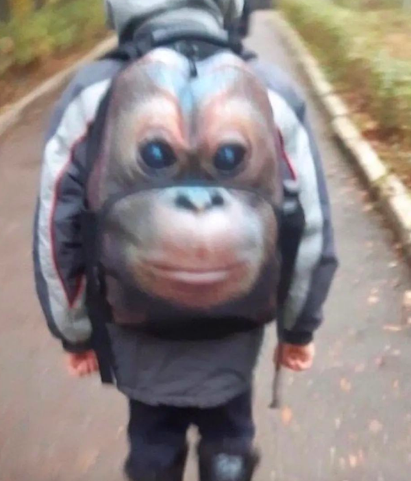 Cursed pics that make us uncomfortable