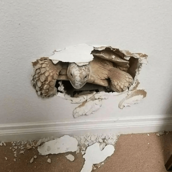 Cursed pics that make us uncomfortable
