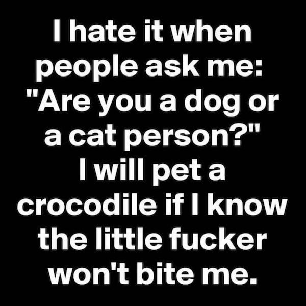 There is *never* a wrong time for animal memes, ever