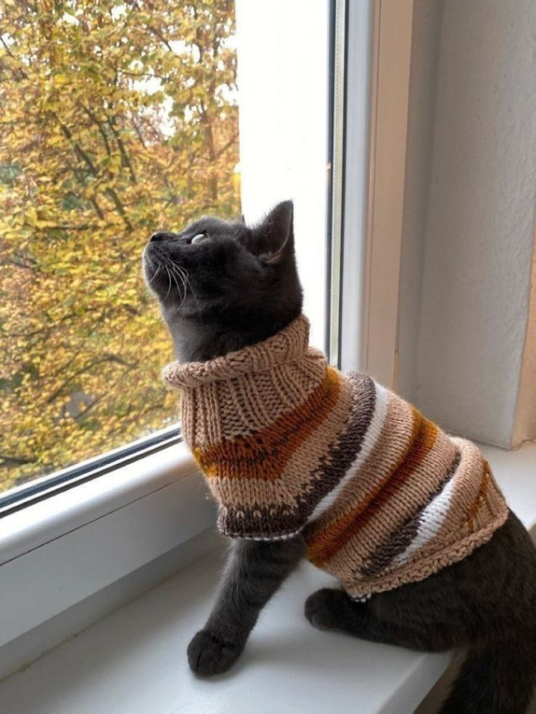 Who Let the Cats Out?