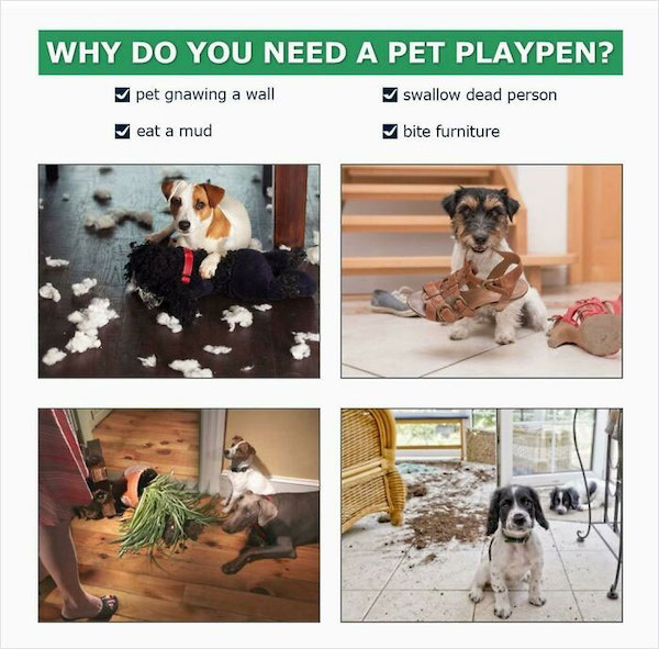 English, Motherf***er, do you speak it!?! (30 Photos)