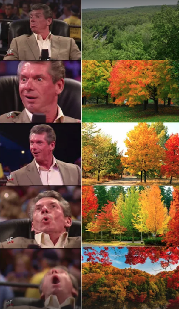 The truth as only the internet can tell