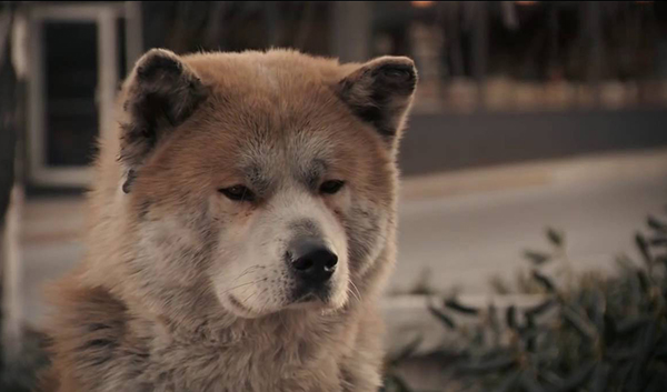 The saddest movie scenes of all time (20 Photos)