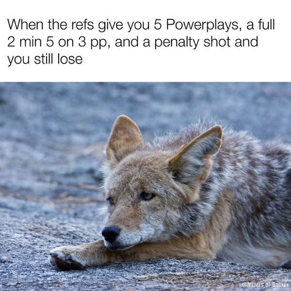 Just like Leon Draisaitl, NHL memes don’t miss