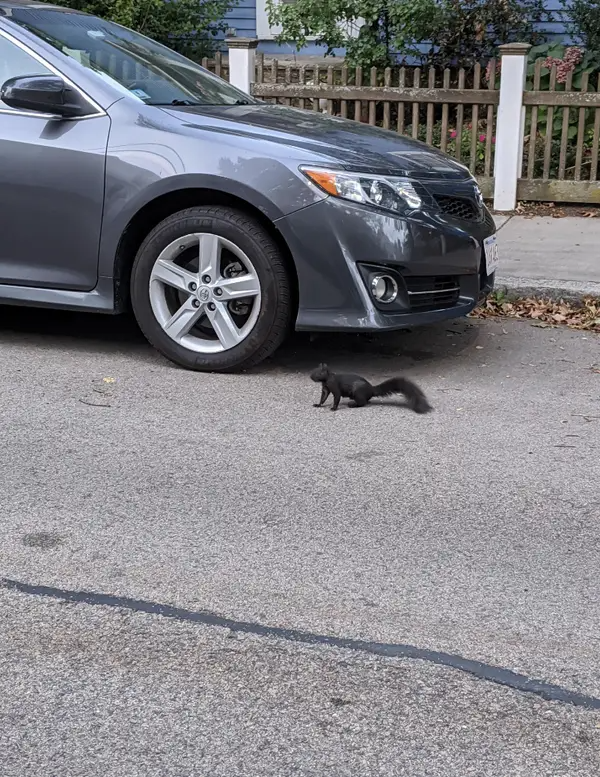 There's a 73% chance that you've never seen these fascinating images