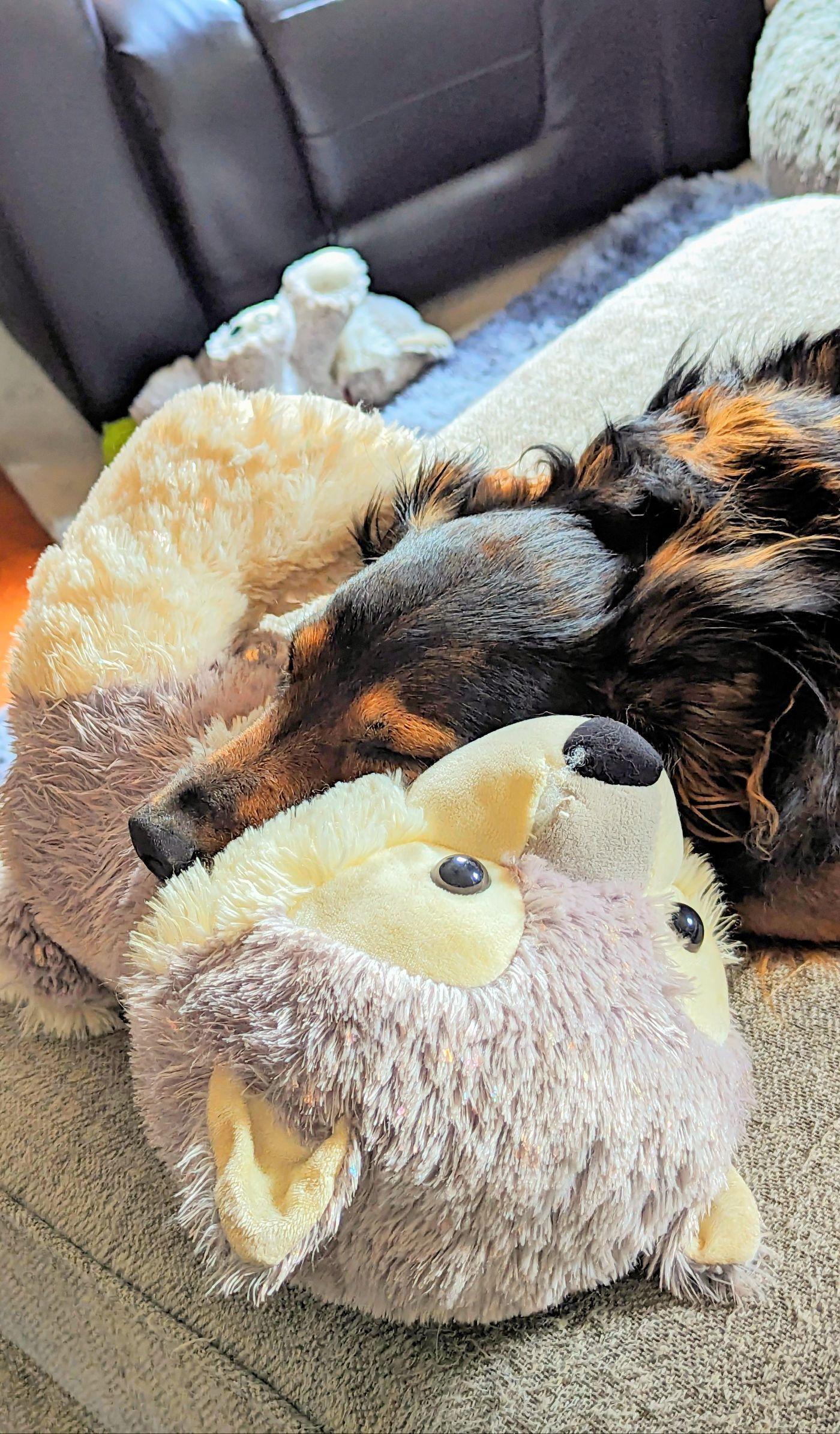 Who Let the Dogs Out