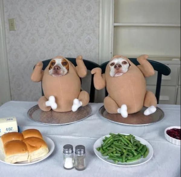 Who Let the Dogs Out