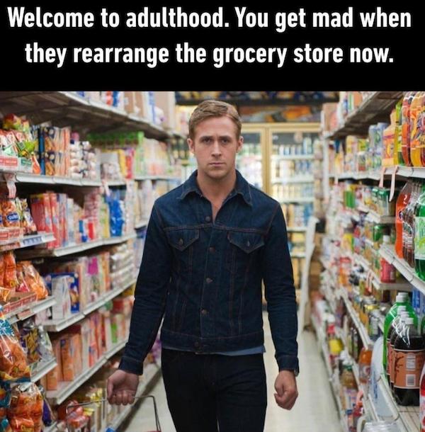 Beer-a-FULL Memes Funny Friday Stupid Wis-DUMB Thoughts Best Captions