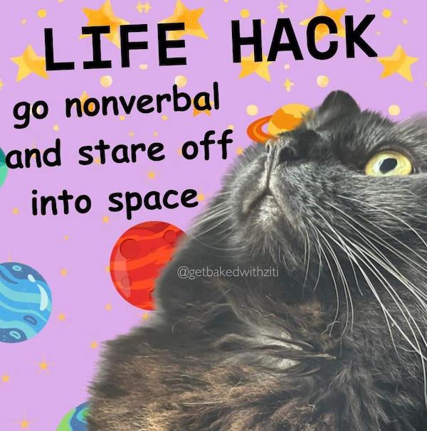 Grumpy Memes Work Sucks Monday Morning Photo Caption Best 2023 Picture