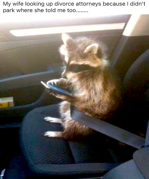 Grumpy Memes Work Sucks Monday Morning Photo Caption Best 2023 Picture