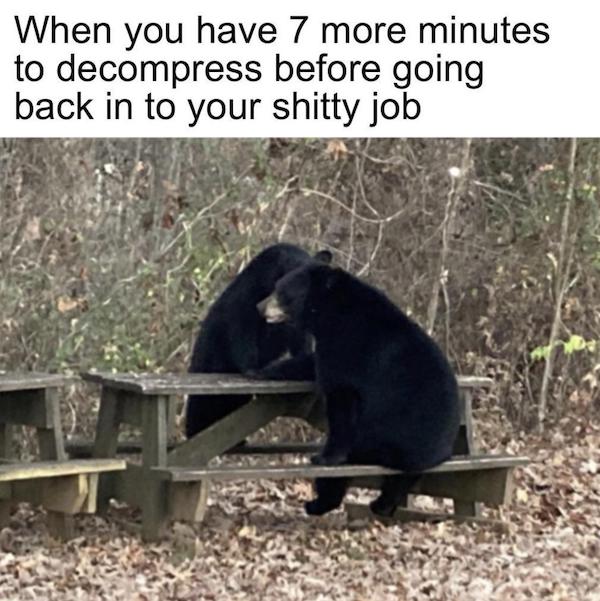 Grumpy Memes Work Sucks Monday Morning Photo Caption Best 2023 Picture