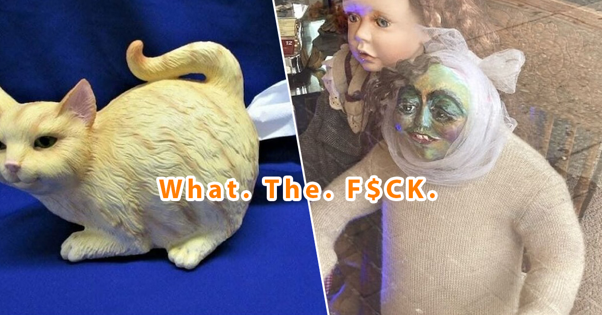 Funny Pictures with Captions - theCHIVE