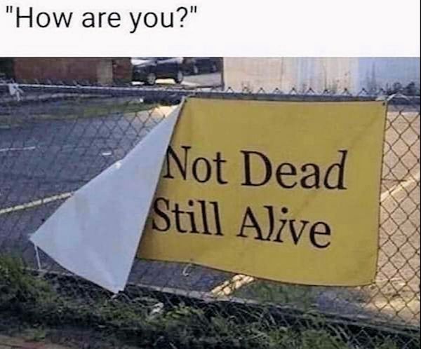 Mind-LESS memes for “Monday SUCKs” mornings Funny Compilation