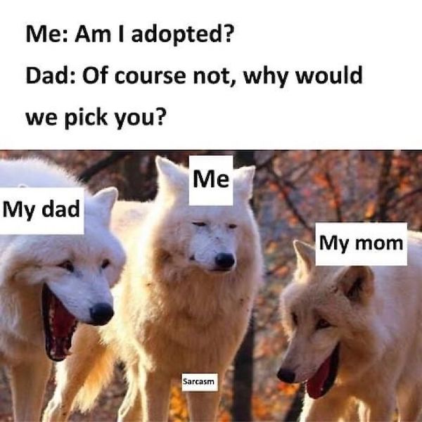 You may detect a hint of sarcasm in these memes