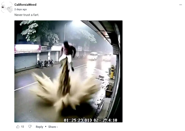 Top Comments of elite commenters found on theCHIVE