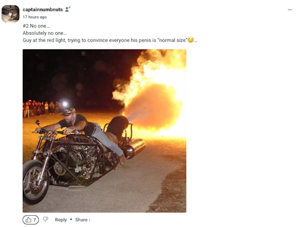 Top Comments of elite commenters found on theCHIVE