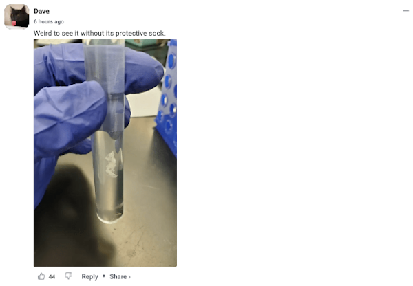 Top Comments of elite commenters found on theCHIVE