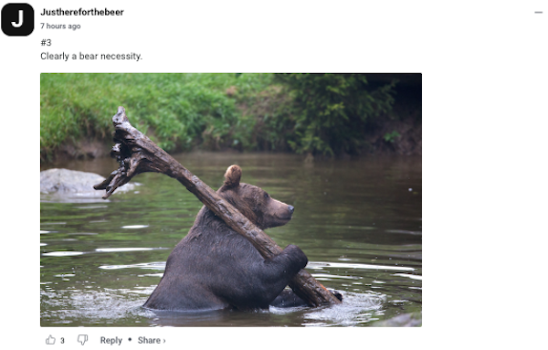 Top Comments of elite commenters found on theCHIVE