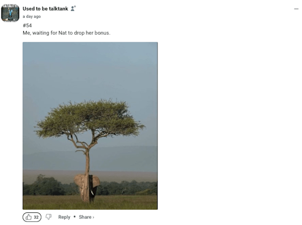 Top Comments of elite commenters found on theCHIVE