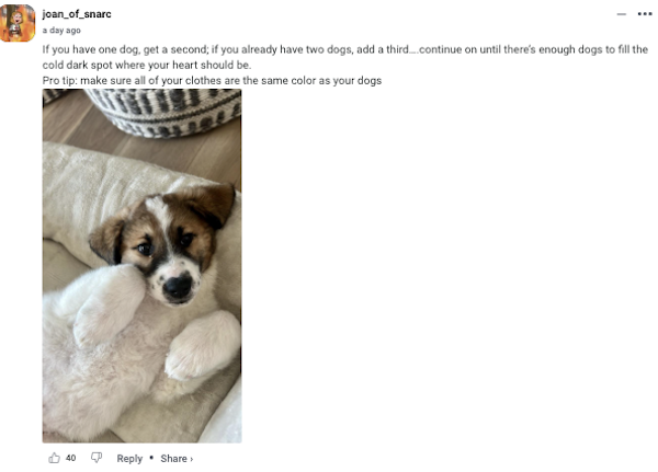 Top Comments of elite commenters found on theCHIVE
