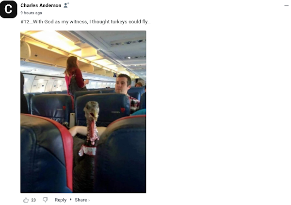 Top Comments of elite commenters found on theCHIVE