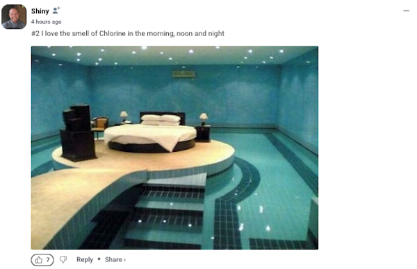 Top Comments of elite commenters found on theCHIVE