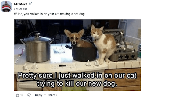 Top Comments of elite commenters found on theCHIVE