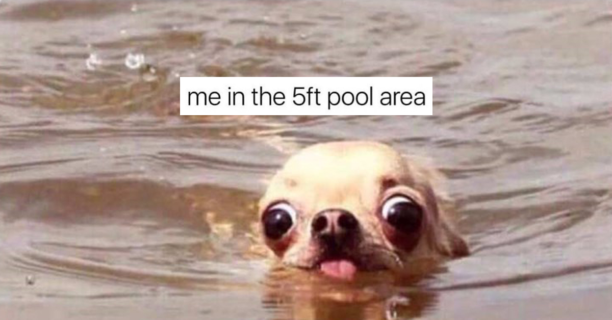 theCHIVE - Funny Pictures, Photos, Memes & Videos – theCHIVE.com