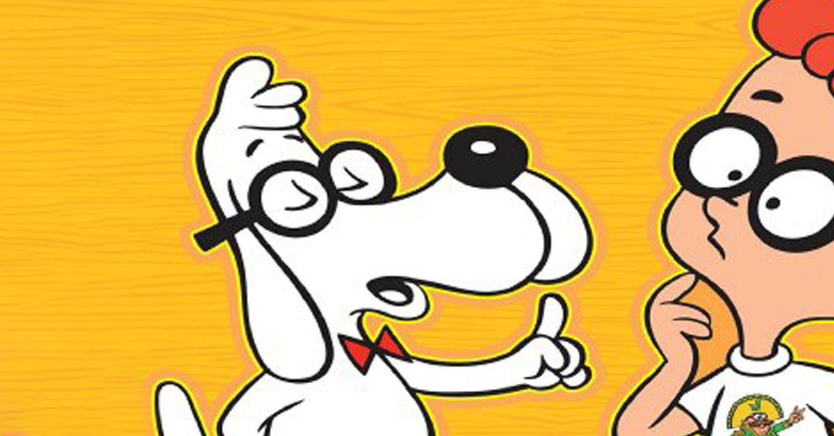 Ranking the 10 smartest animals in the world