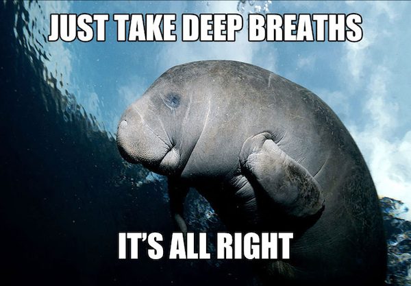 Wisdom Memes Inspirational Quotes and Real Smart Thoughts Compilation