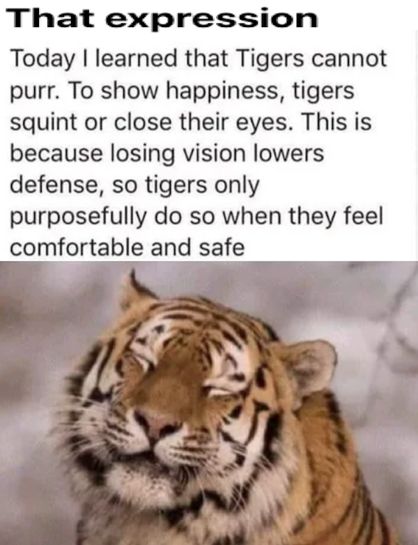 Wisdom Memes Inspirational Quotes and Real Smart Thoughts Compilation