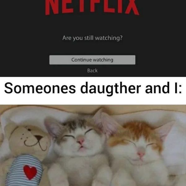 Take a page from the weather and chill out with some comfy cozy memes