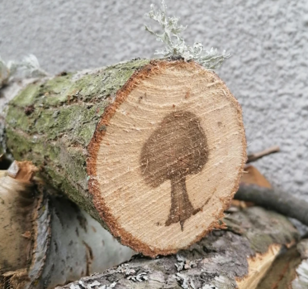 Well I've never seen THAT before! (25 Photos)