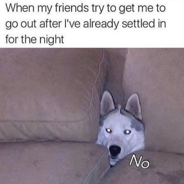 Take a page from the weather and chill out with some comfy cozy memes