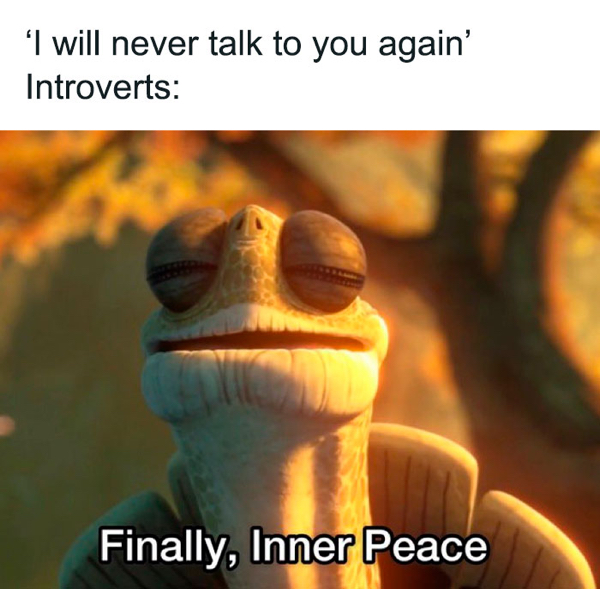 Introvert memes that you can stay at home with