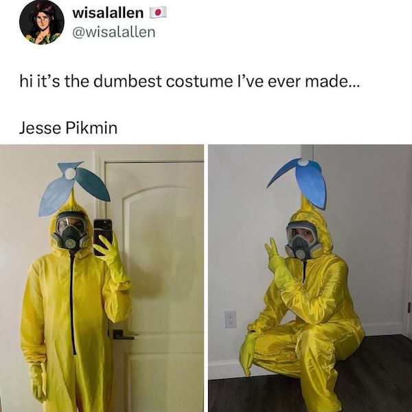 These costumes WON Halloween 2023 (32 Photos)