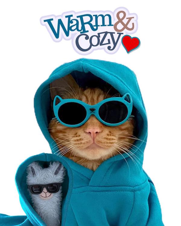 Take a page from the weather and chill out with some comfy cozy memes