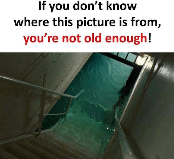 Sorry, but you’re officially old if you understand these memes (30 Pho