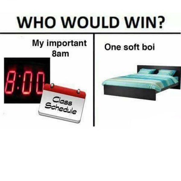 Take a page from the weather and chill out with some comfy cozy memes