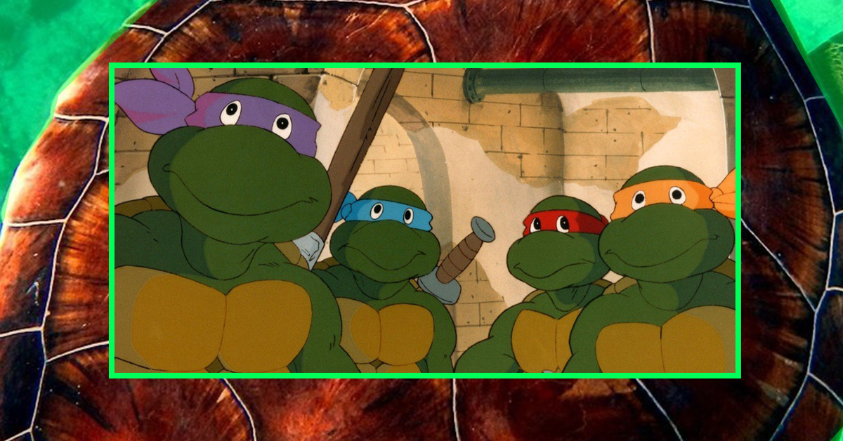 ninja turtle