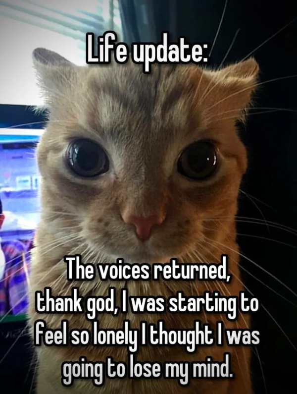 Take Some Fresh Dank Memes