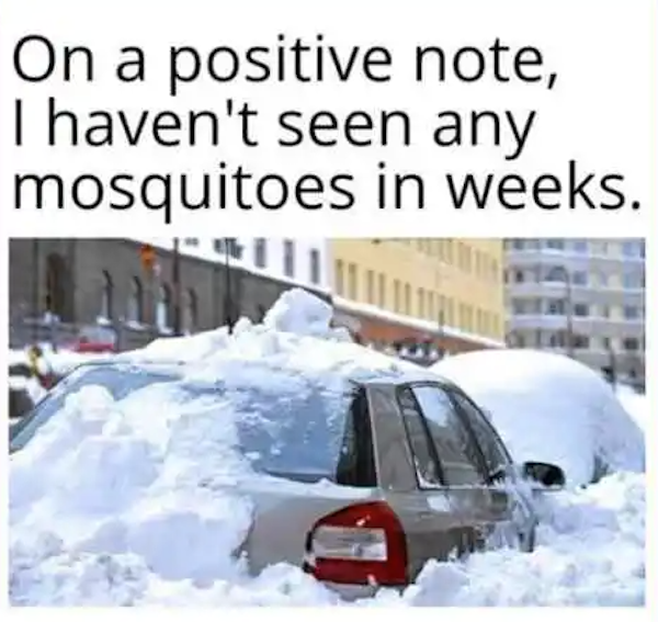 These winter memes are a little too relatable...(30 Photos)