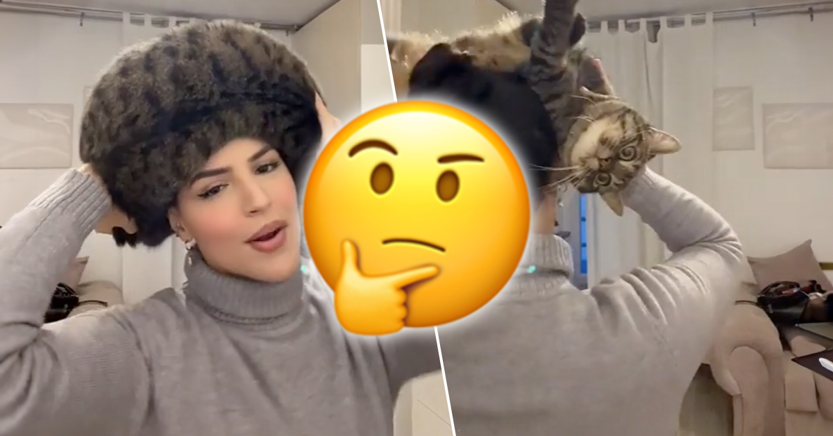 WTF is happening here???